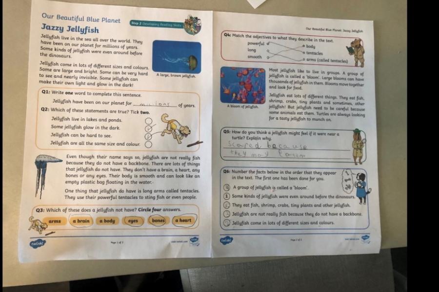 Jacob's Fantastic Reading | Broadbent Fold Nursery & Primary School