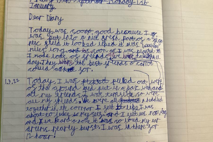 Writing in Year 6 | Broadbent Fold Nursery & Primary School